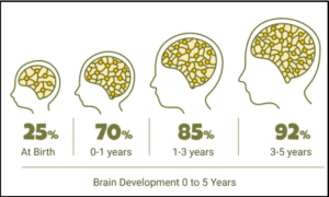 Unlocking Potential | Understanding The Importance of Brain Development ...
